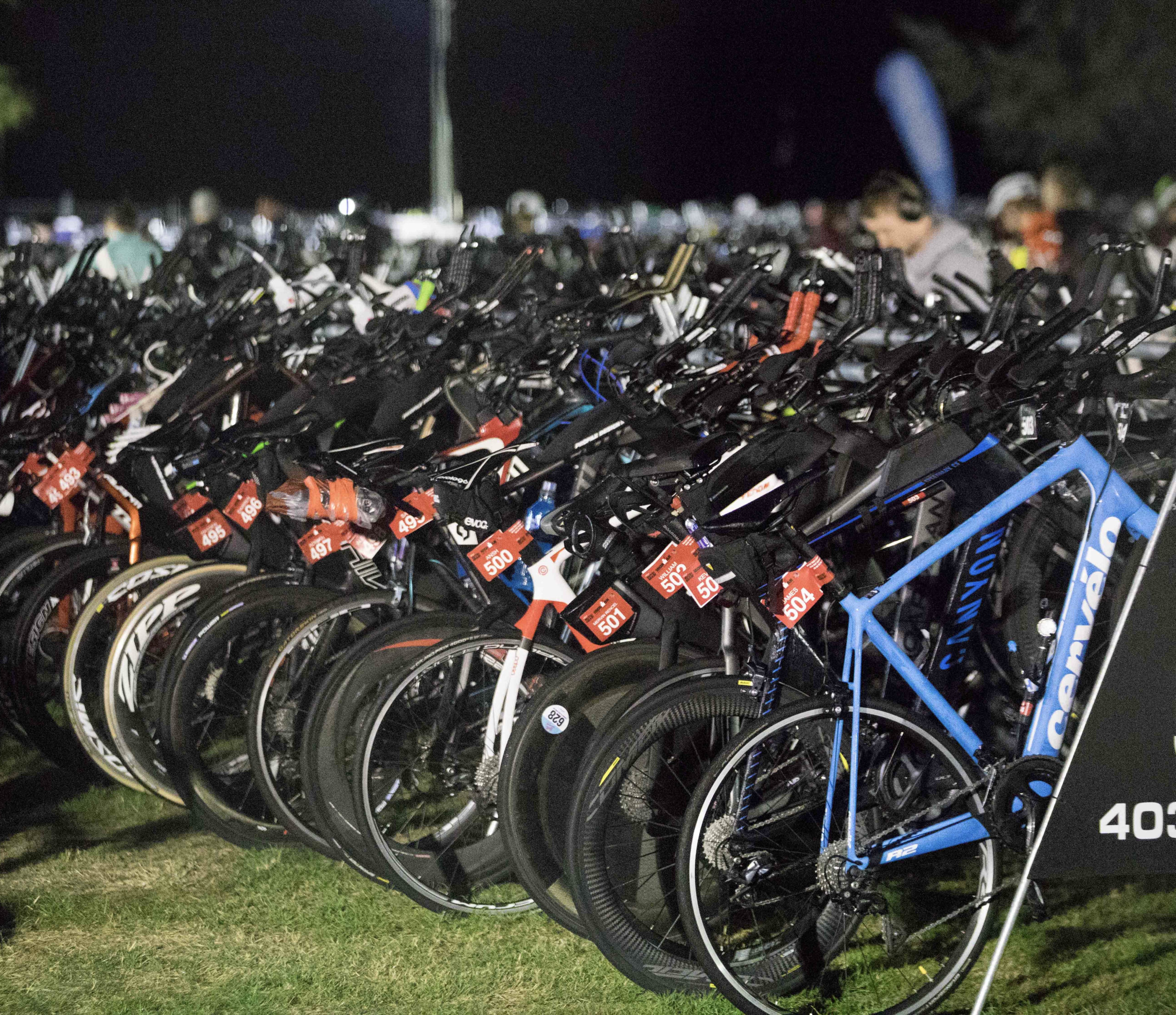 The Movement Project | Training Series