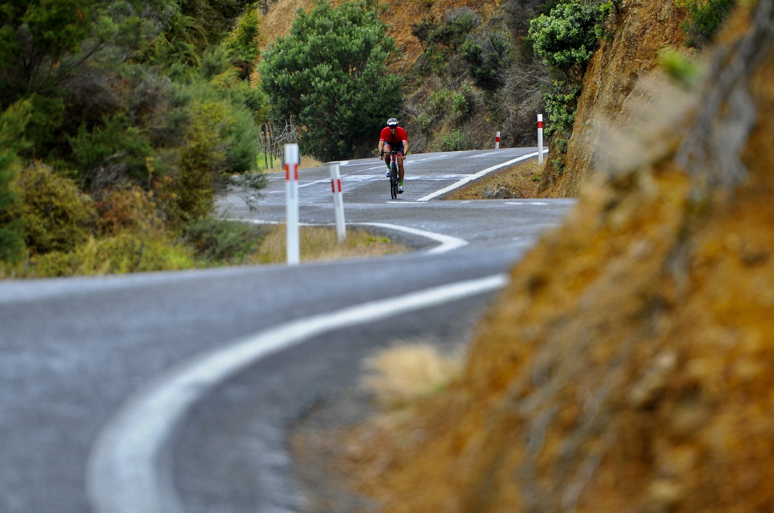 The Movement Project | Contact